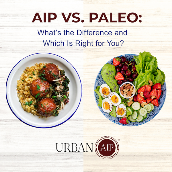 AIP vs. Paleo: What’s the Difference and Which Is Right for You ...